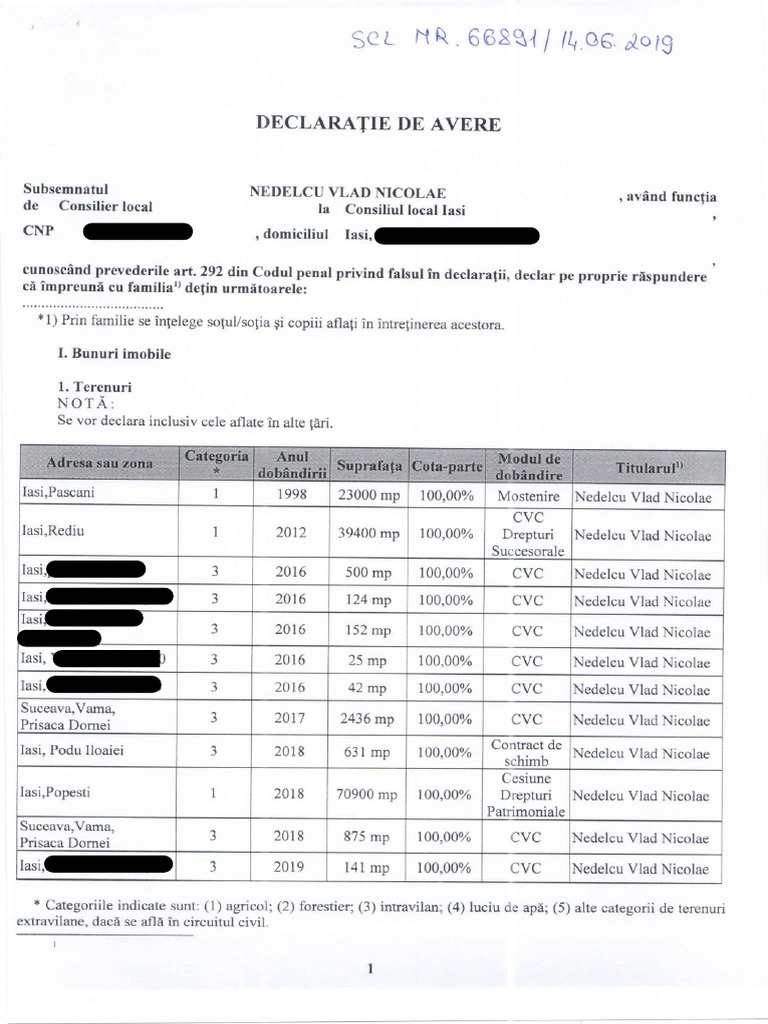 Declaratie de Avere Vlad Nedelcu | PDF
