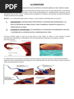 MR Sopa | PDF | Reanimación cardiopulmonar | Medicina