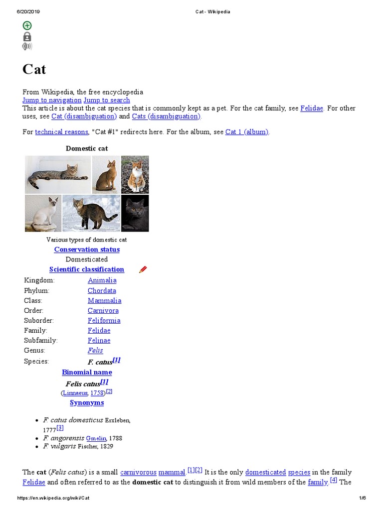 Cat - Wikipedia PDF | PDF | Cats | Felidae