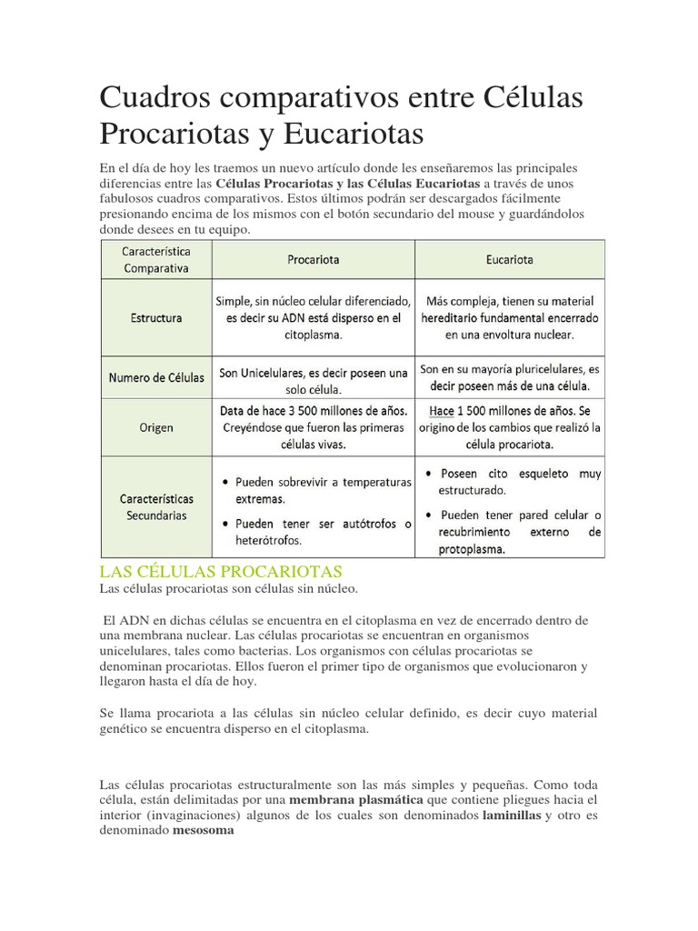 Cuadros Comparativos Entre Clula Procariota Y Eucariota Cuadro