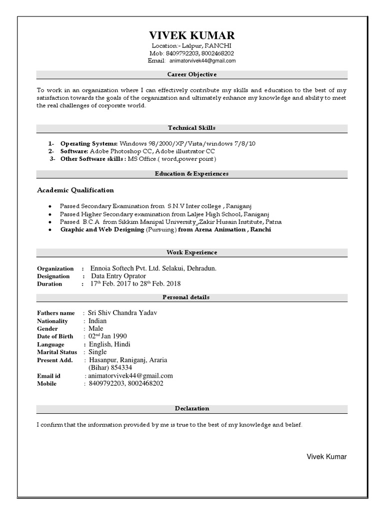 Vivek Resume Data Entry | PDF