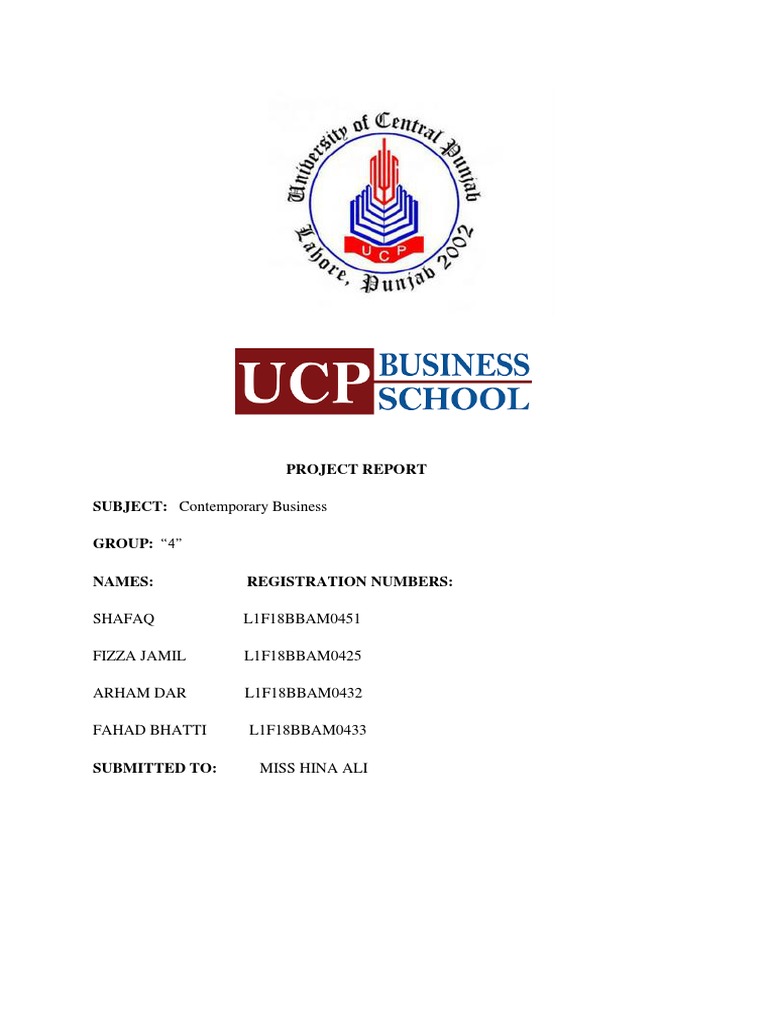 Business Project Report Full and Final | PDF | Retail | Expense