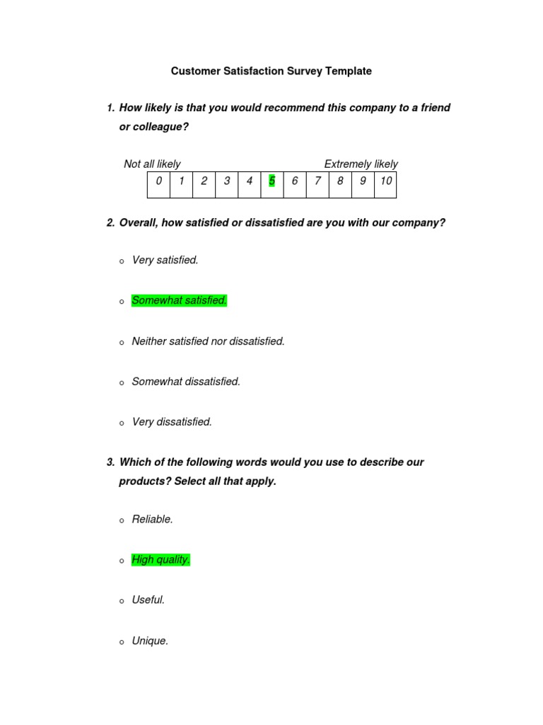 Customer Satisfaction Survey Template Evidencia 5 | PDF | Customer ...