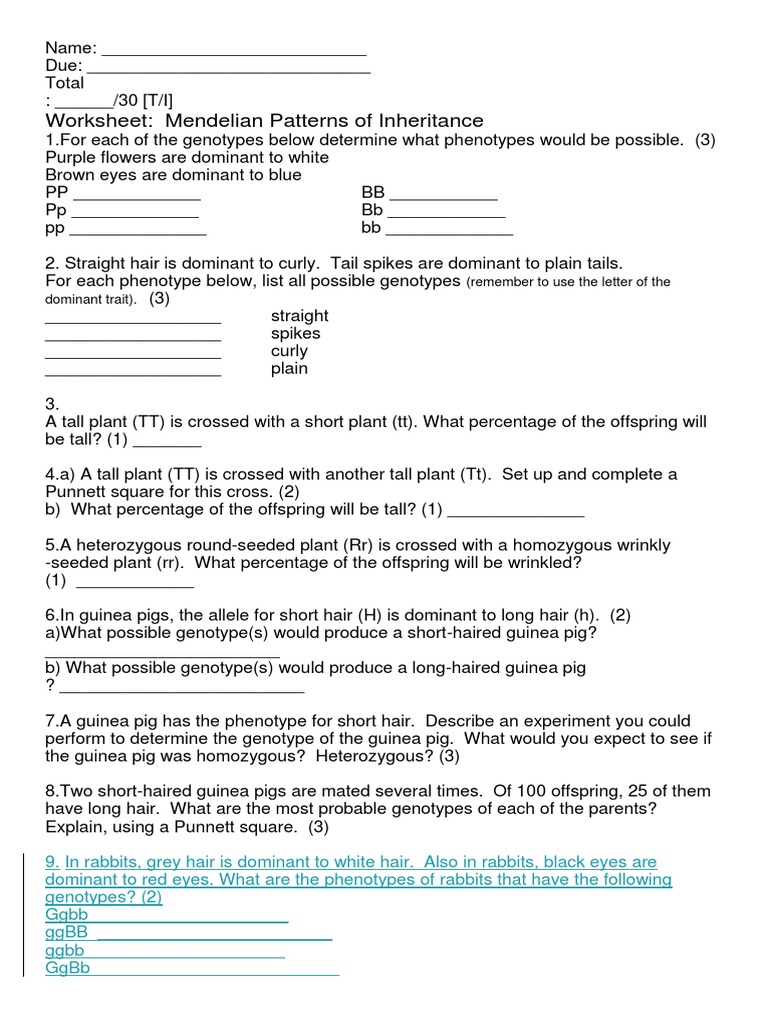 Worksheet: Mendelian Patterns of Inheritance: (Remember To Use The ...