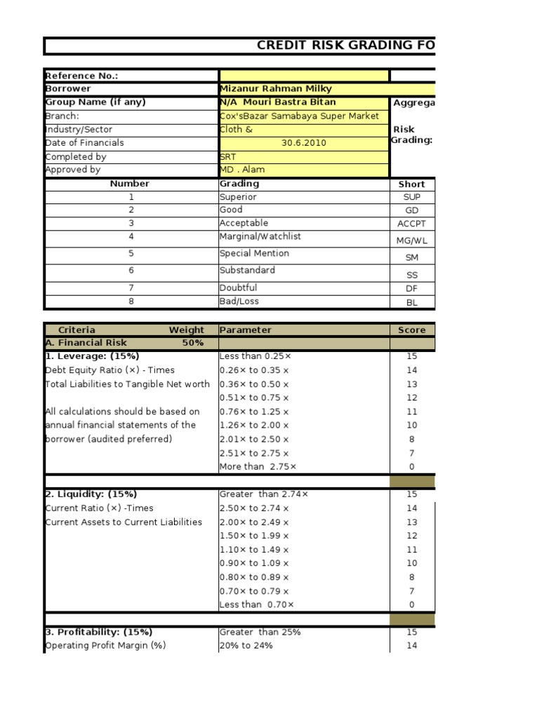 Credit Risk Grading For Loan | PDF | Leverage (Finance) | Interest