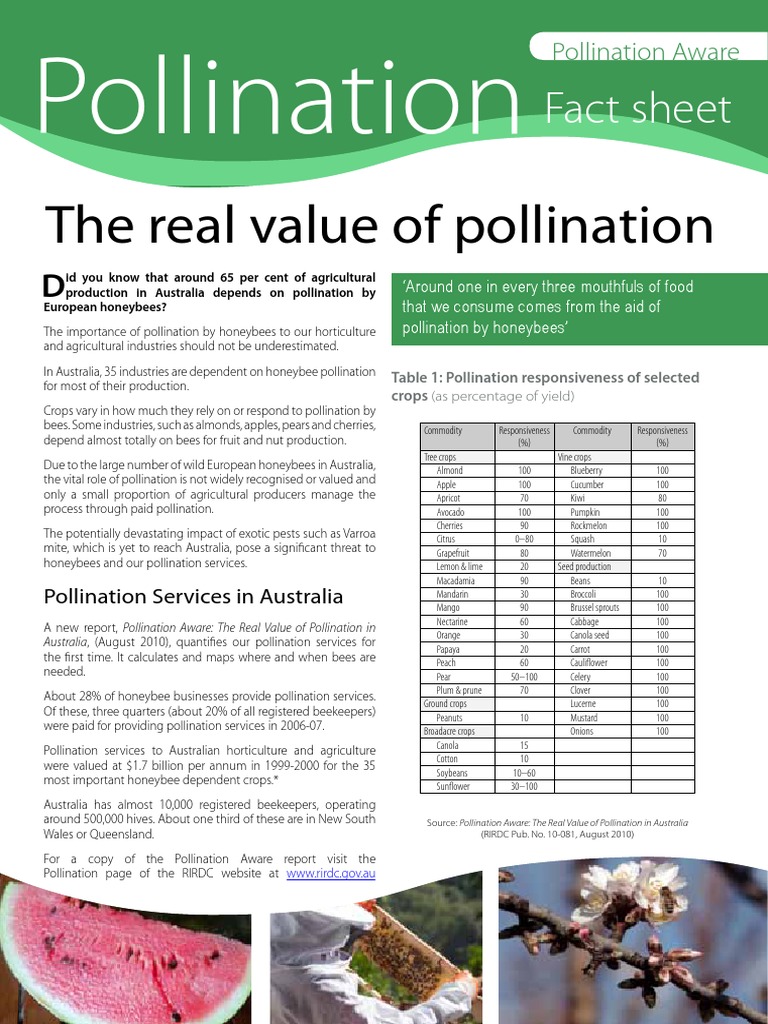 The Real Value of Pollination | PDF | Western Honey Bee | Pollination