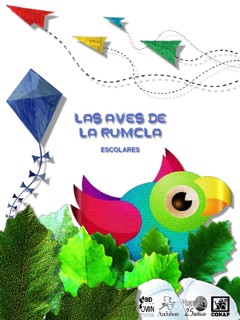 Manual De Las Aves Para Escolares Descargar Gratis Pdf Migración De