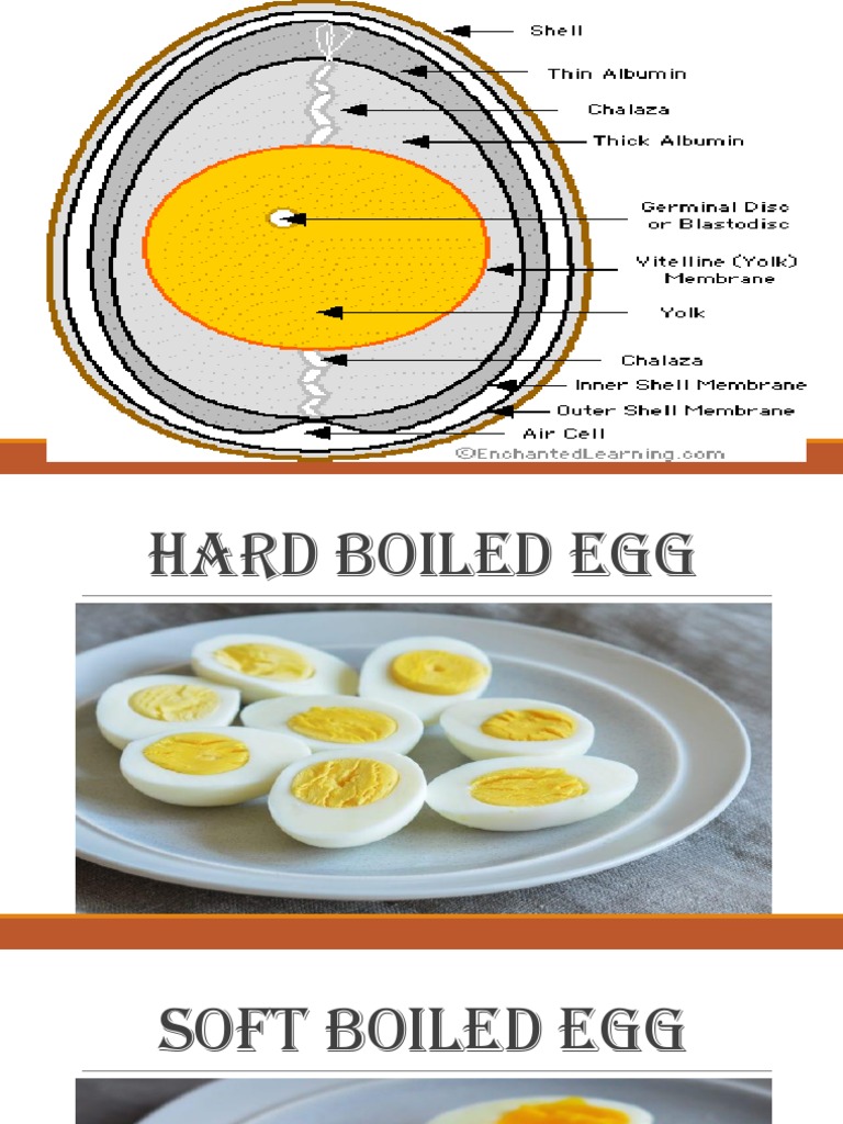 Cooking Methods for Eggs | PDF
