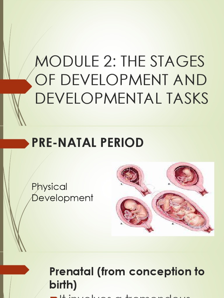 Module 2: The Stages of Development and Developmental Tasks | PDF ...