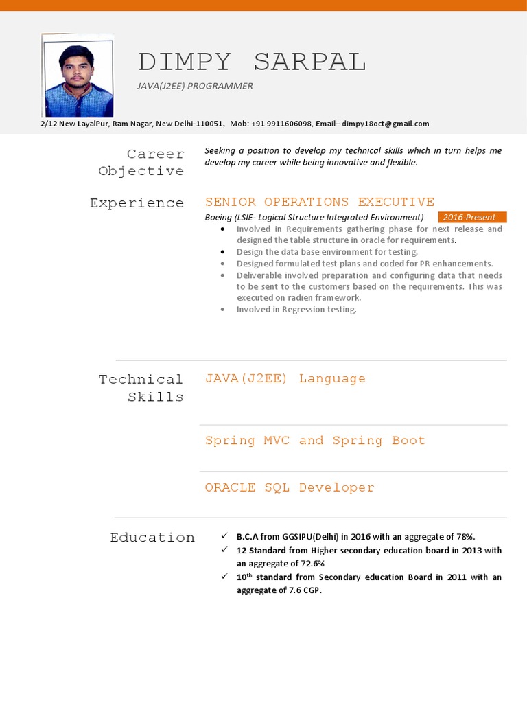 Programer - CV Template | PDF