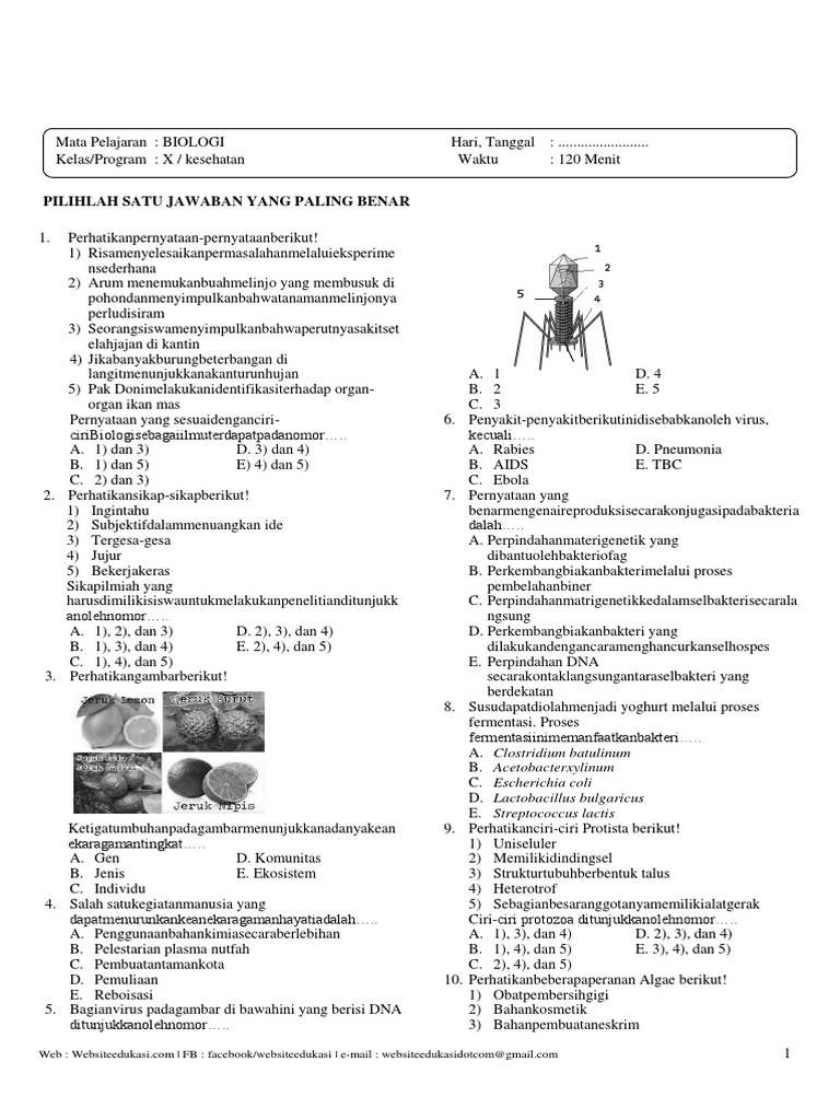 Soal PAT Biologi Kelas X 2018-2019 | PDF