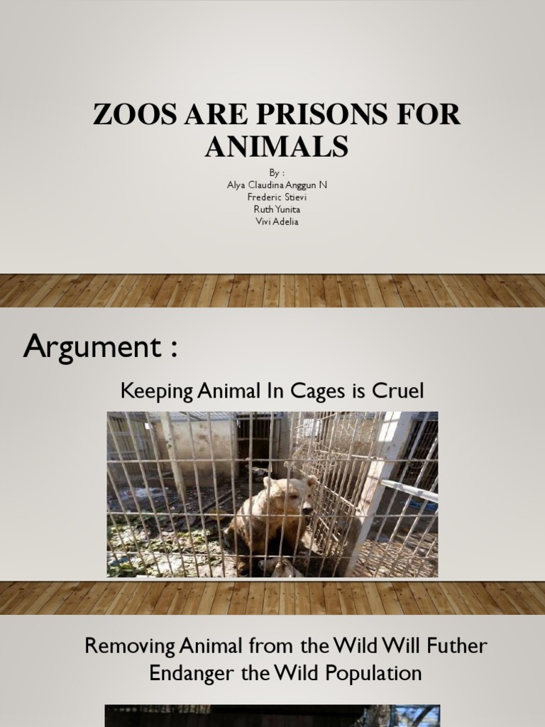 Animals in Zoos: A Life of Confinement Rather than Freedom | PDF