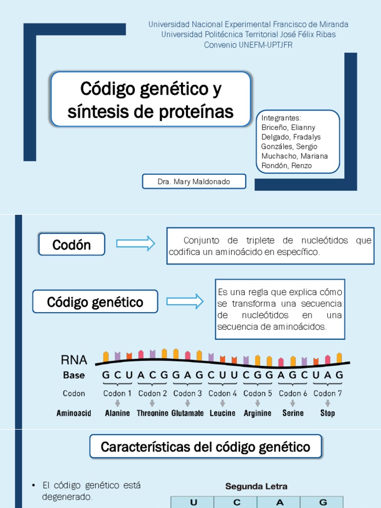 Código genético y síntesis de proteínas | Codigo genetico | Traducción ...