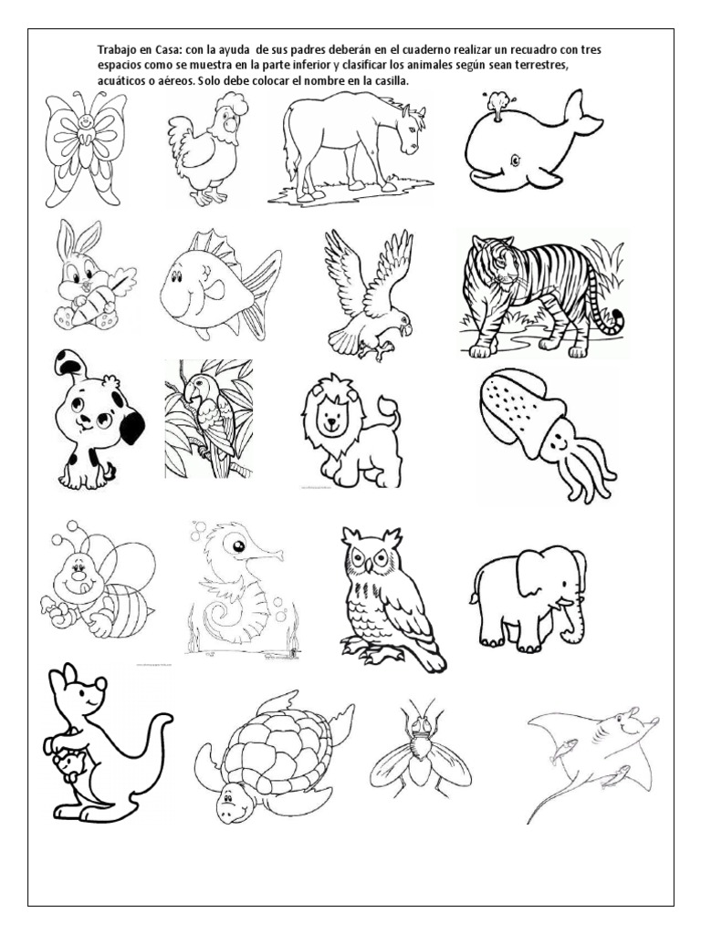 Clasificación de Animales para Niños | PDF