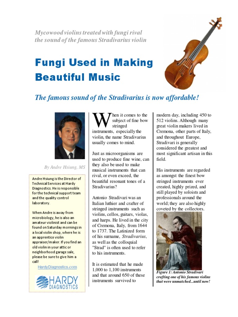 Fungi and Violin Making by Hsiung PDF | PDF | Violin | Musical Instruments