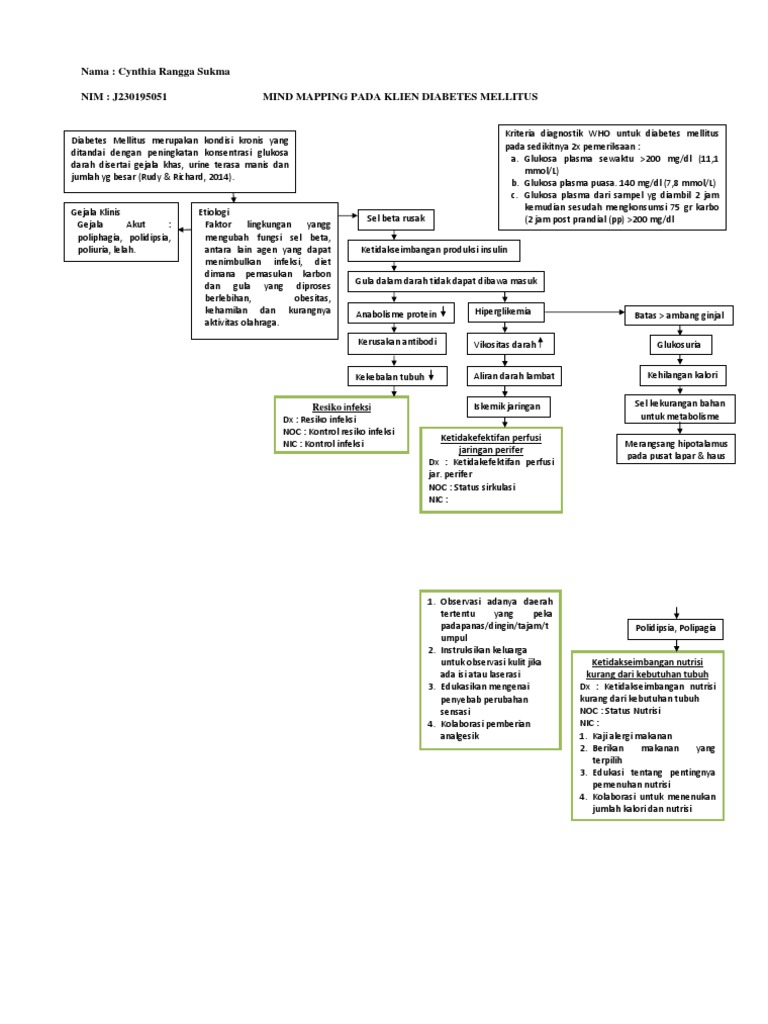 Mind Mapping Diabetes Mellitus | PDF