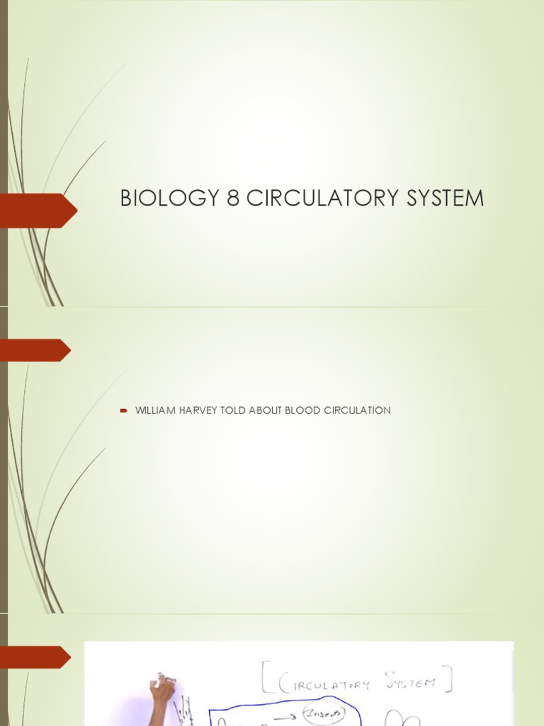 CH3 Circulatory System | PDF