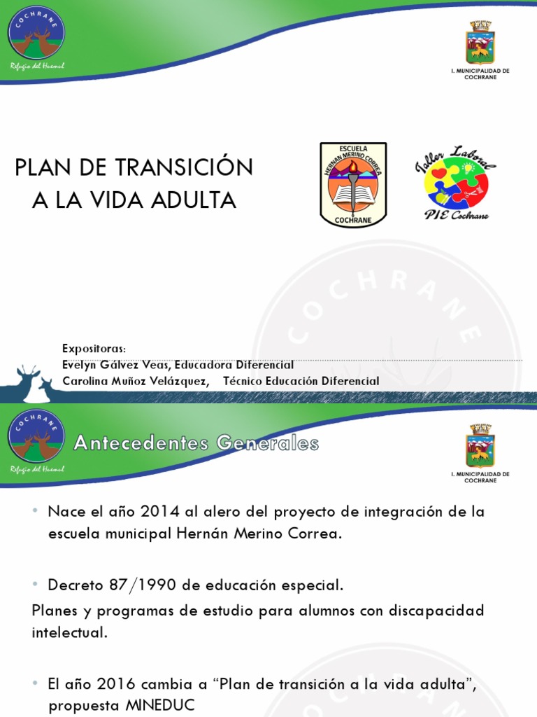 Plan Transición A La Vida Adulta | PDF