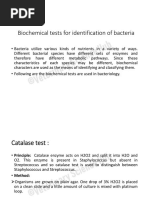 Biochemical Test and Identification of Pseudomonas Aeruginosa | PDF ...