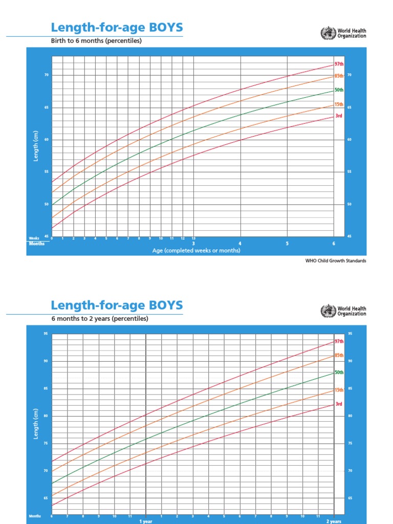 Length-For-Age BOYS: Birth To 6 Months (Percentiles) | PDF | Percentile ...