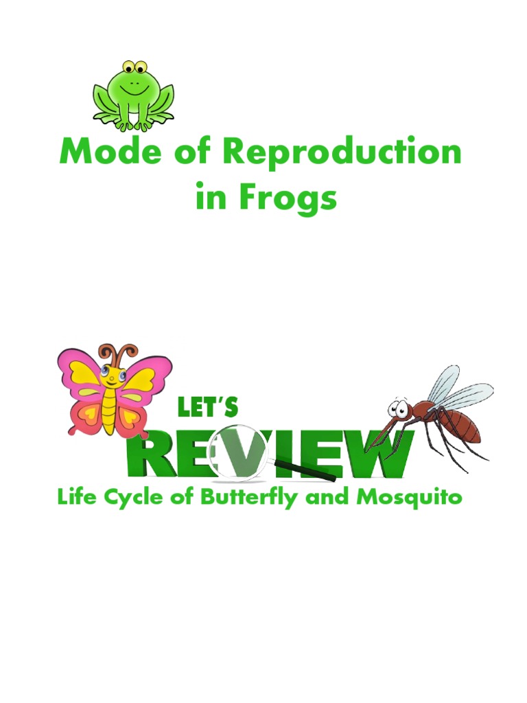 Mode of Reproduction in Frogs | PDF