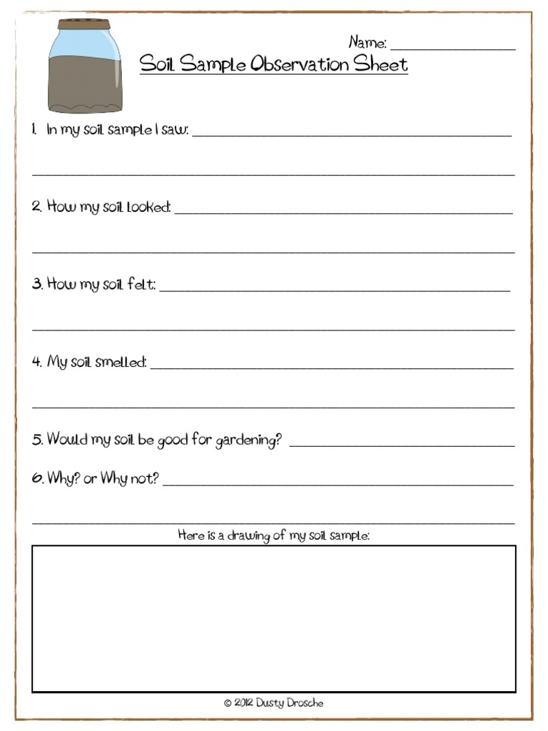 Soil Sample Observation Sheet: Here Is A Drawing of My Soil Sample | PDF