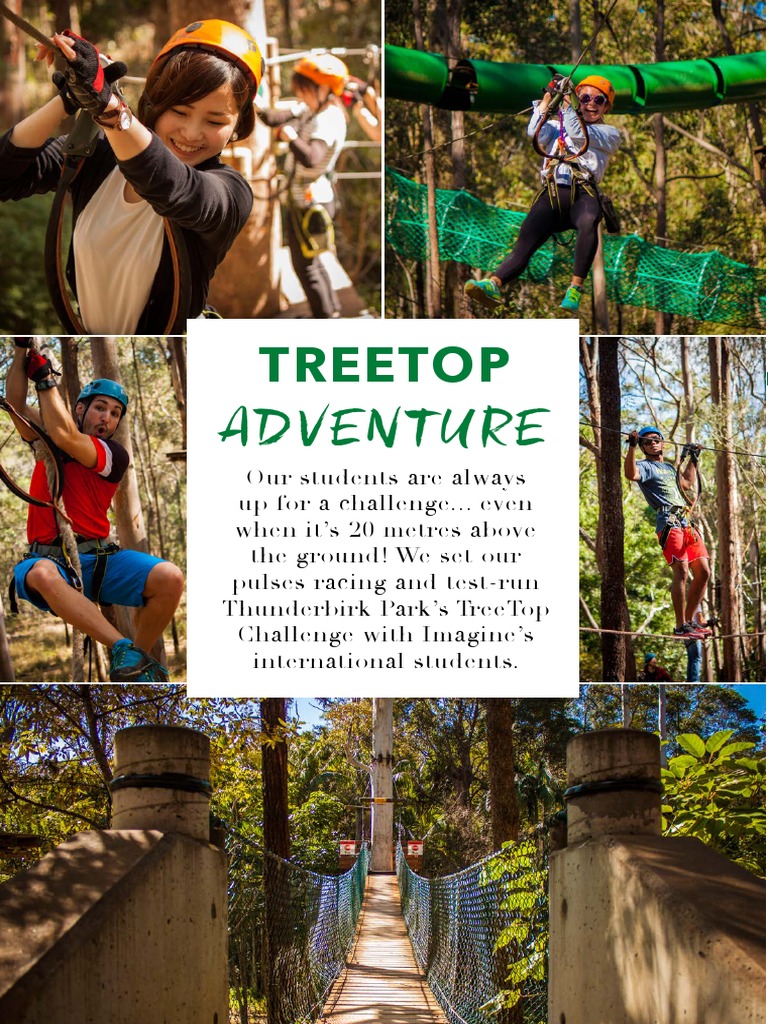 Thunderbird Park TreeTop Challenge | PDF