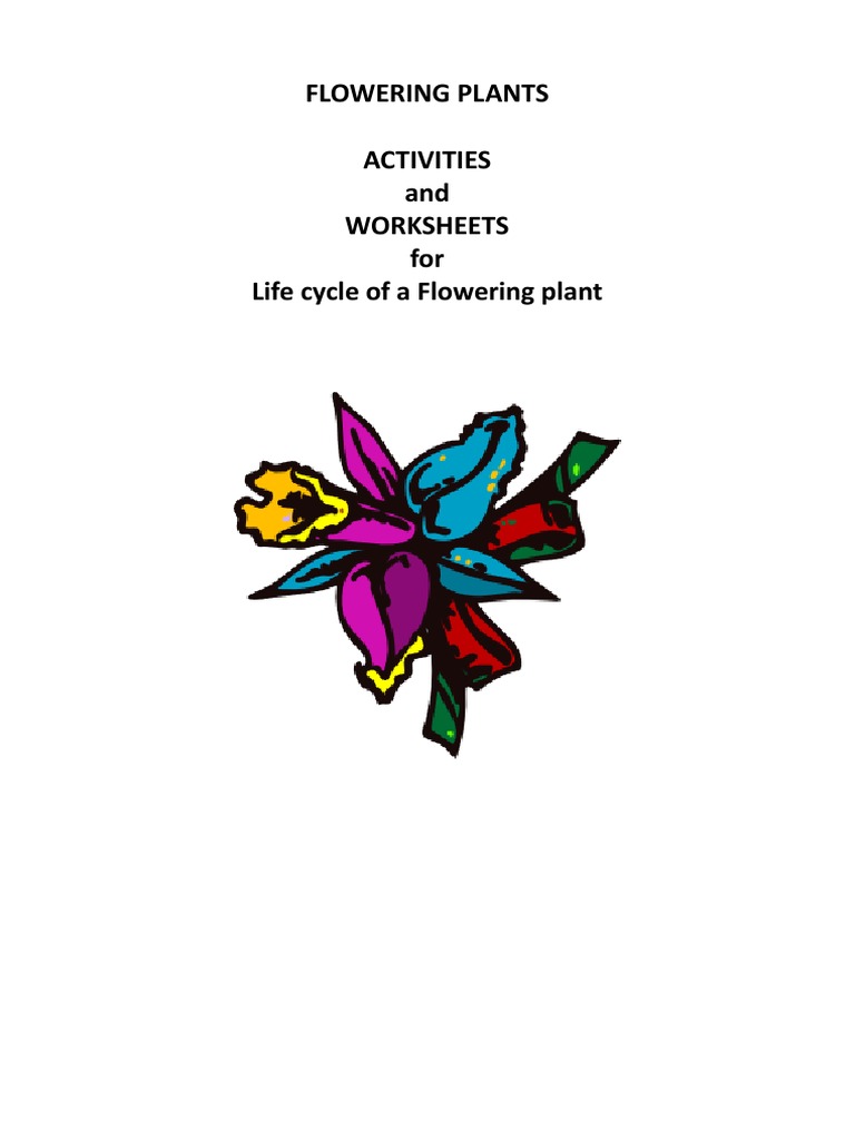 flowering-plants-worksheet-pdf-petal-flowers