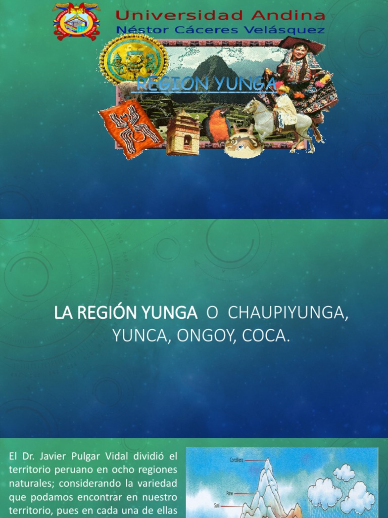 Características de la Región Yunga | PDF | Geografía Física | Ciencias ...