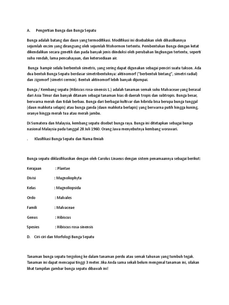 Morfologi dan Klasifikasi Bunga Sepatu | PDF