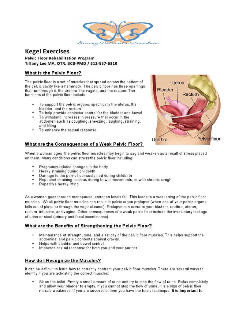 How To Do Kegel Exercises | PDF | Urinary Incontinence | Animal Anatomy