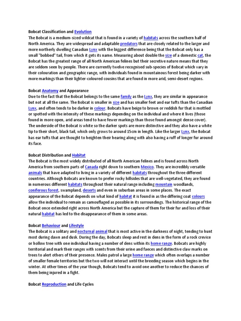 Bobcat Classification and Evolution | PDF | Lynx | Predation