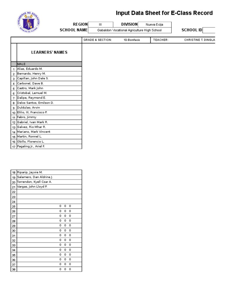 Input Data Sheet For E-Class Record: Region Division School Name School Id | PDF