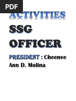 SSG Narrative and Pictorial Report Template | PDF