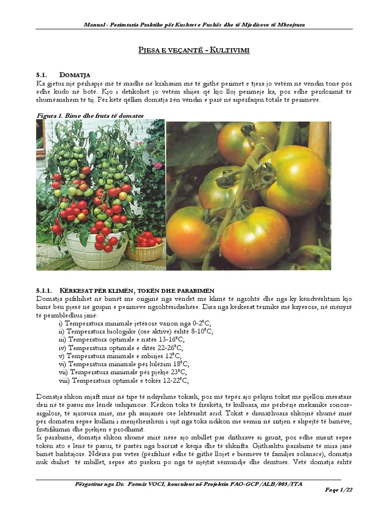 Domatja Speci Dhe Patllixhani Kultivimi Agri | PDF