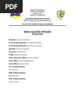 SSG Narrative and Pictorial Report Template | PDF