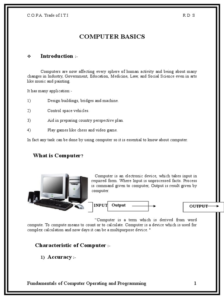 Computer Basics Elements | PDF | Computer Monitor | Floppy Disk