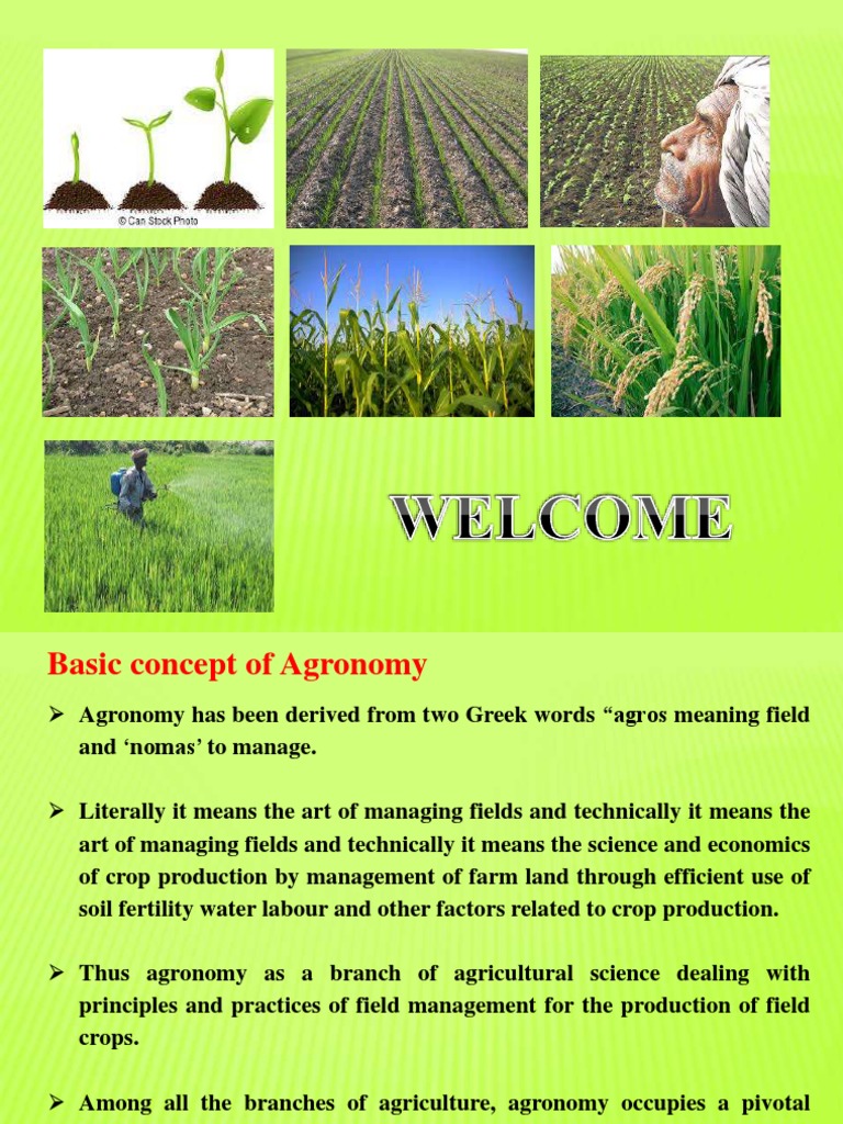 Crops Classification | PDF | Agronomy | Agriculture