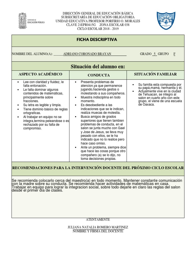 Fichas Descriptivas | PDF | Educación primaria | Educación de la primera infancia