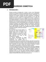 CISTOCLISIS | PDF | Vejiga urinaria | Orina