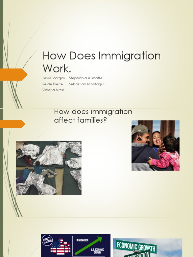 How Does Immigration Work | PDF