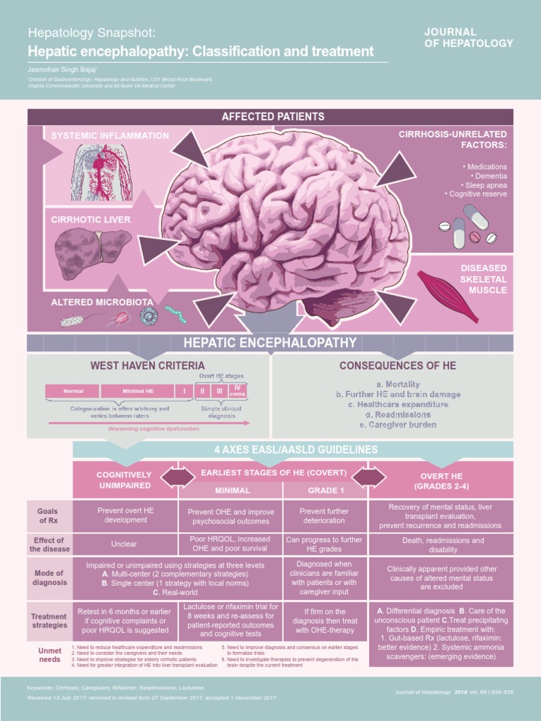Encephalopathy Hepaticum | PDF | Cirrhosis | Gastroenterology