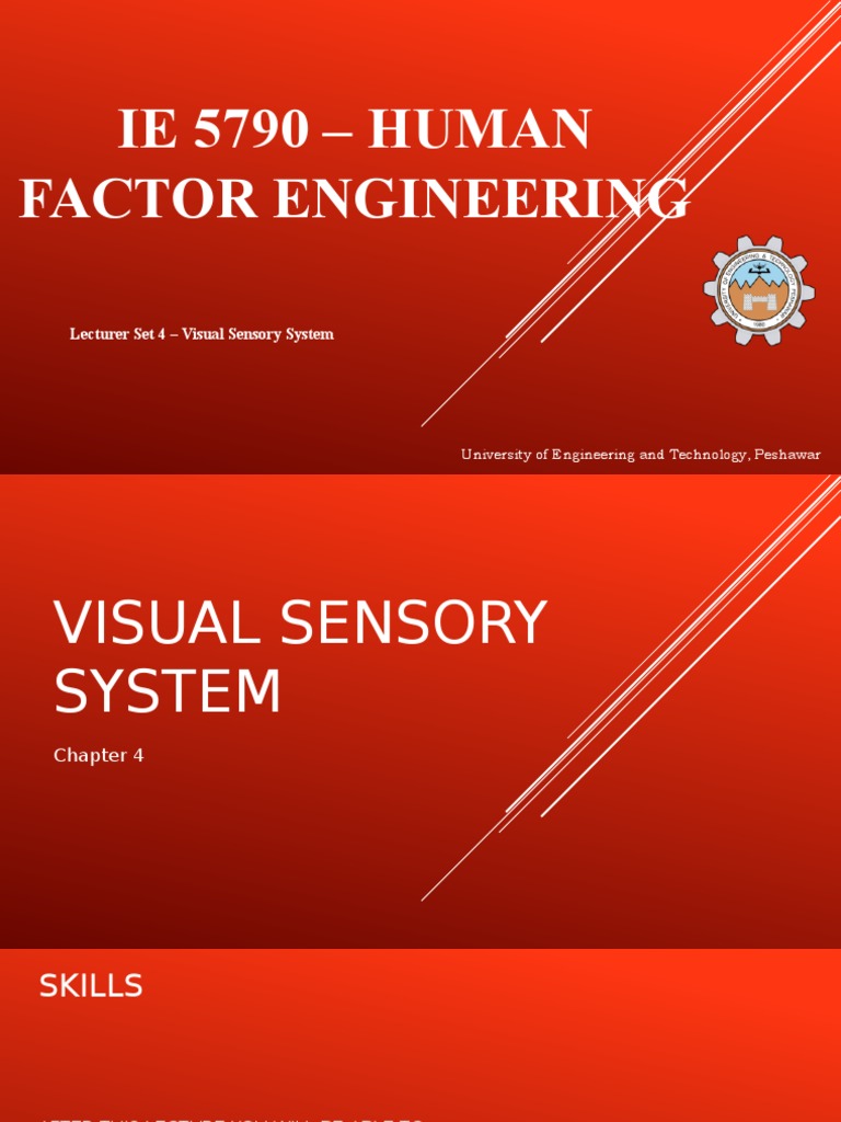 IE 5790 - HUMAN Factor Engineering: Lecturer Set 4 - Visual Sensory ...