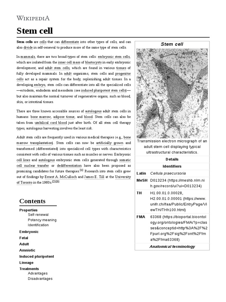 Stem Cell | PDF | Stem Cell | Cell Potency
