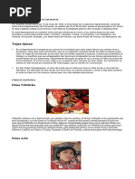 Pueblo y lengua awakateko en Guatemala | PDF