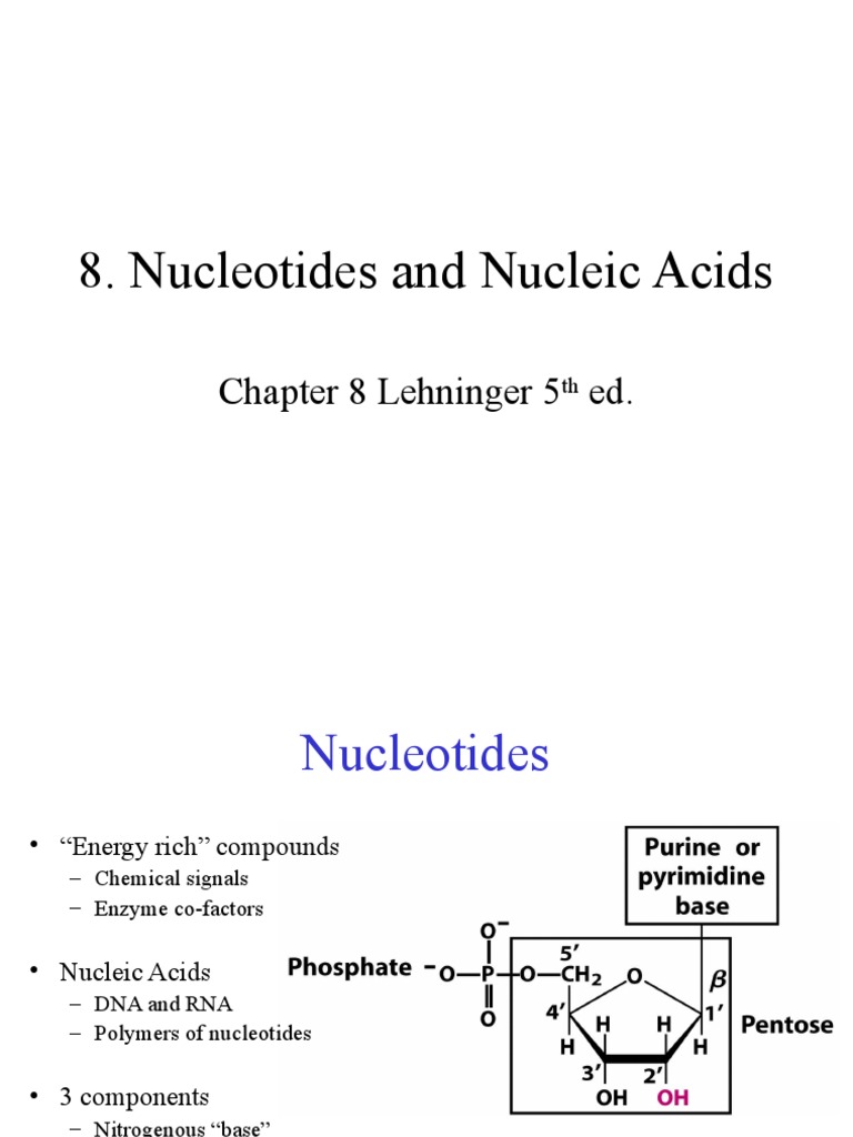 Nucleotides and Nucleic Acids | PDF | Nucleotides | Rna