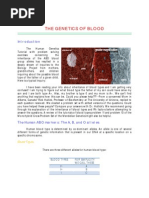 Blood Typing Problems Answer Key | PDF | Genotype | Hematology