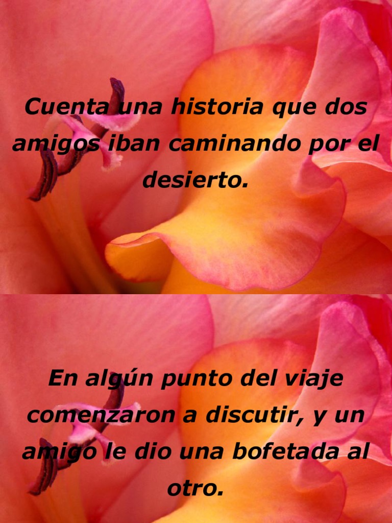 Grabalo en Piedra | PDF