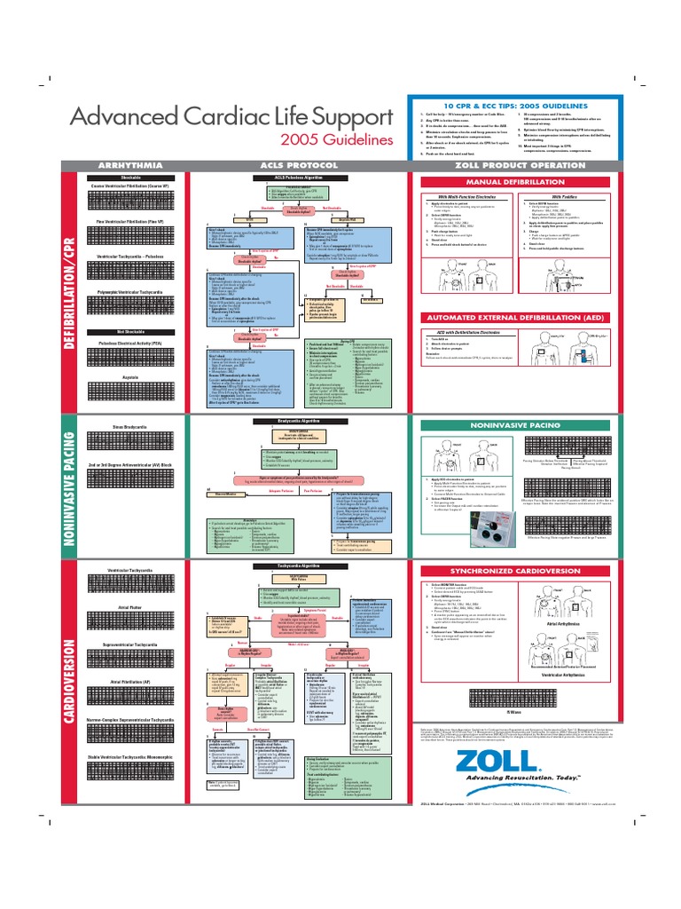 ACLS AHA Guidelines 2006 Poster | PDF | Cardiopulmonary Resuscitation ...