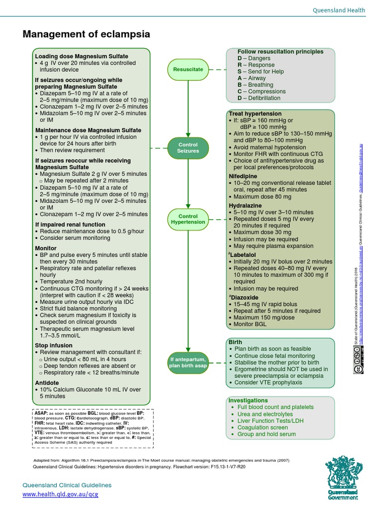 Algoritma Eklampsia | PDF | Magnesium | Intravenous Therapy